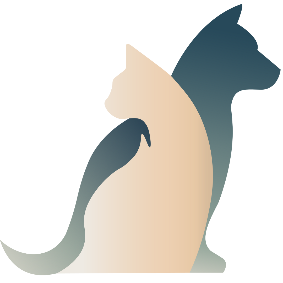 Formations AMV certifiées (assistantes en médecine vétérinaire)